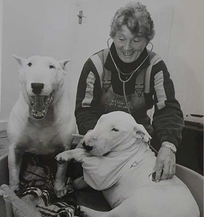 Terry's legacy of love for animals – Remember a Charity